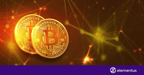 Elementus | The Data-driven Blockchain Intelligence Platform